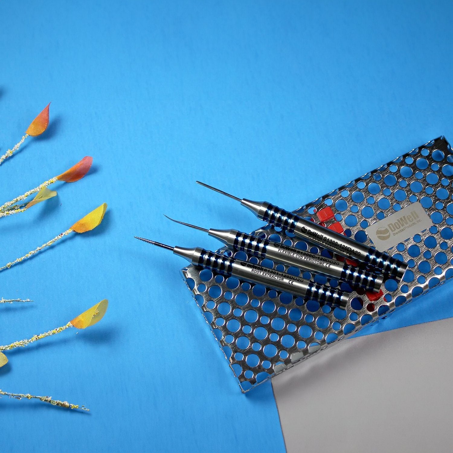 Dental Extraction Kits & Tools – DoWell Dental Products, Inc.