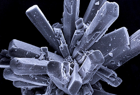 OsteoGen® Vials – DoWell Dental Products, Inc.