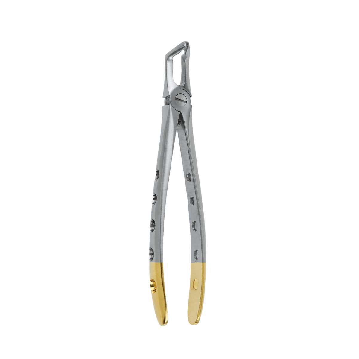 Dental Extraction Forceps F-222AF Apical Beak Lower Wisdoms – DoWell ...